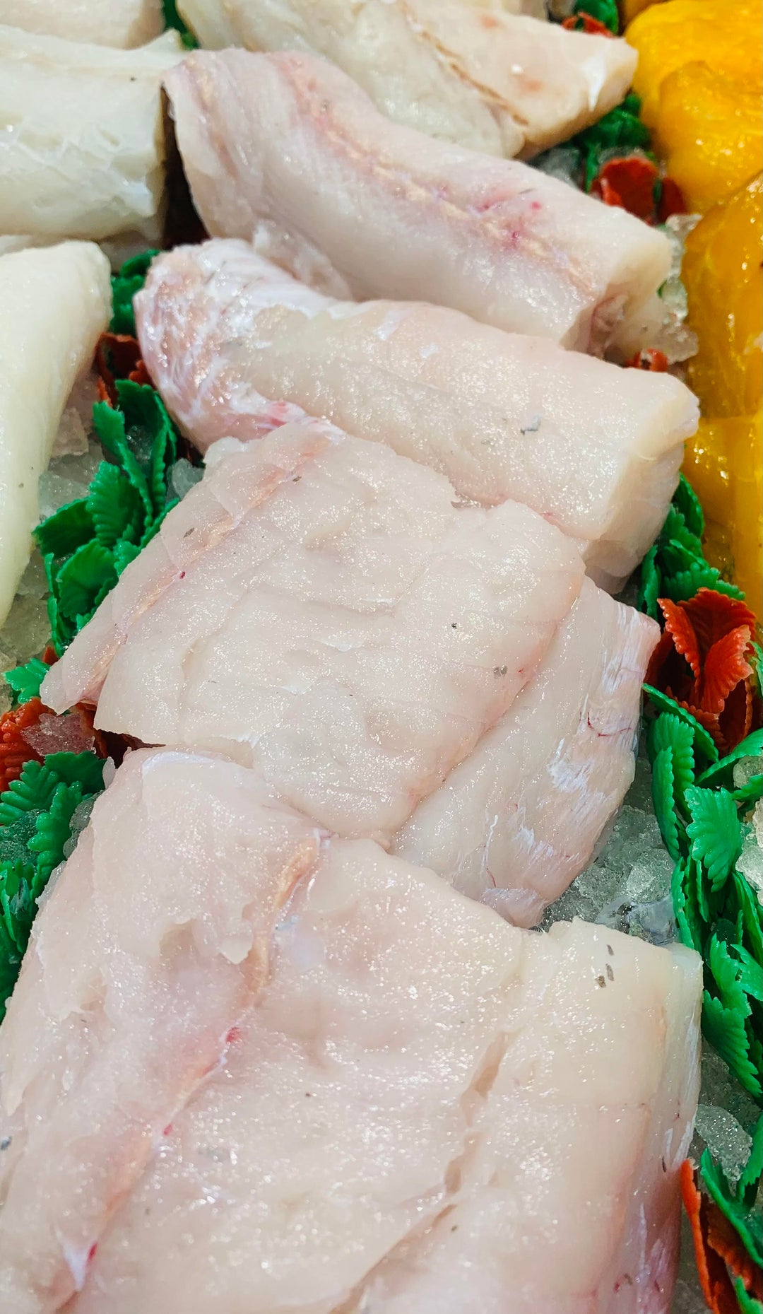 Fresh Fish – Page 3 – Tarbetts